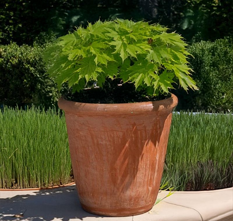 Terracotta Camelia Pot 75Ø x 73 (H) cm